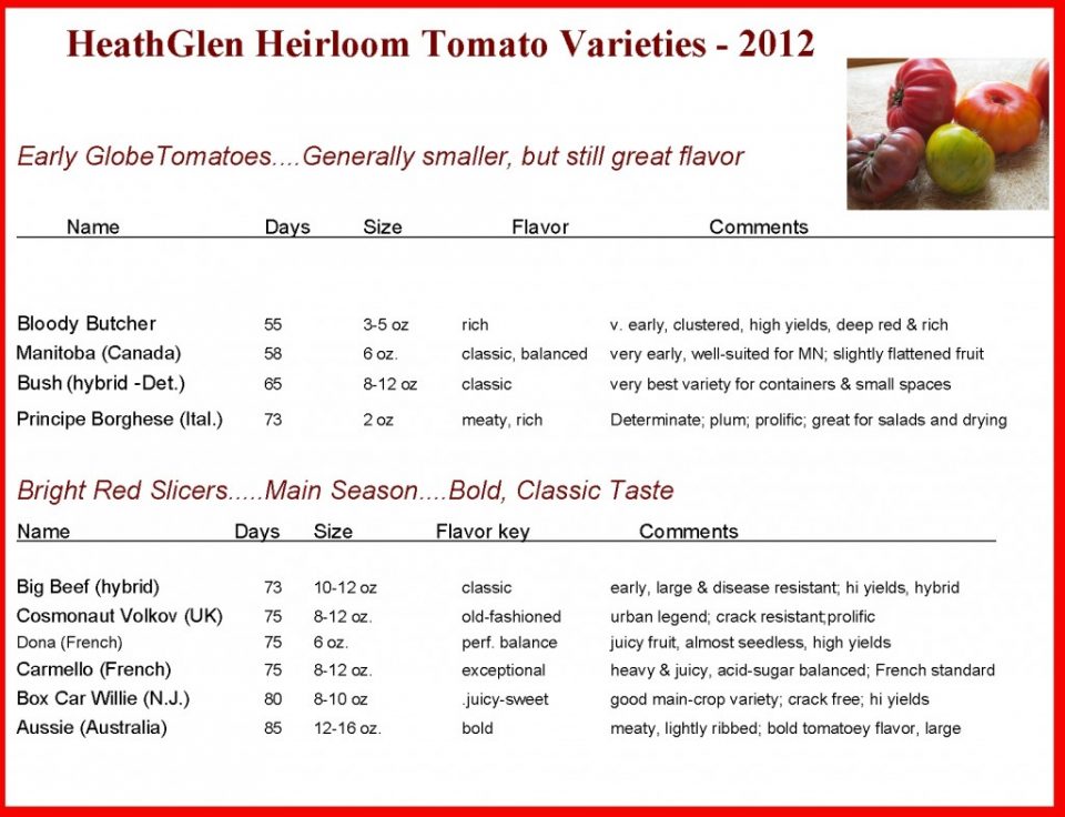 Comparing Heirloom Tomato Varieties: Growth Characteristics- Farm to Jar