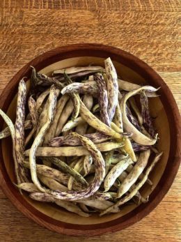 How to Grow and Cook Italian Flat Beans - Farm to Jar