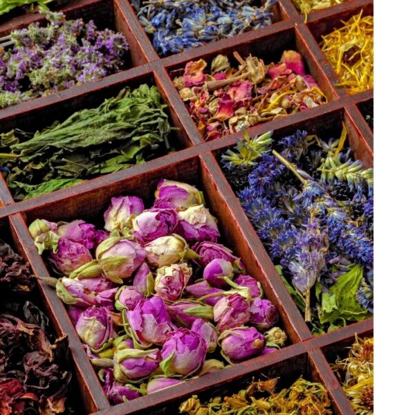 Herbal Tea Blends: How to Make Your Own - Farm to Jar