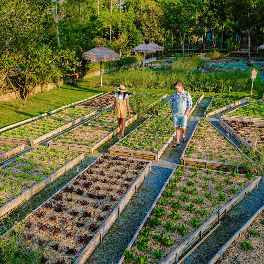 Design Your Own Italian Kitchen Garden - Farm to Jar
