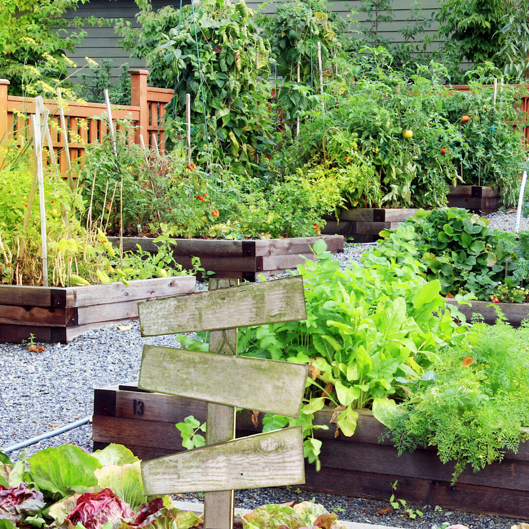 Design Your Own Italian Kitchen Garden - Farm to Jar