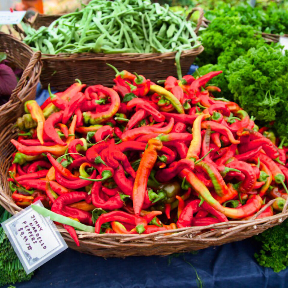 Best Pepper Varieties for the Italian Kitchen Garden - Farm to Jar