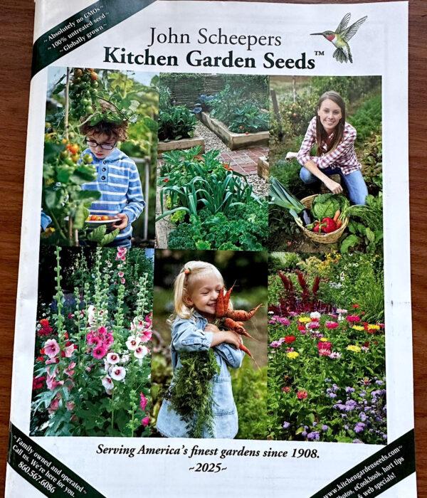 Best Seed Catalogs for Heirloom Tomatoes- Farm to Jar