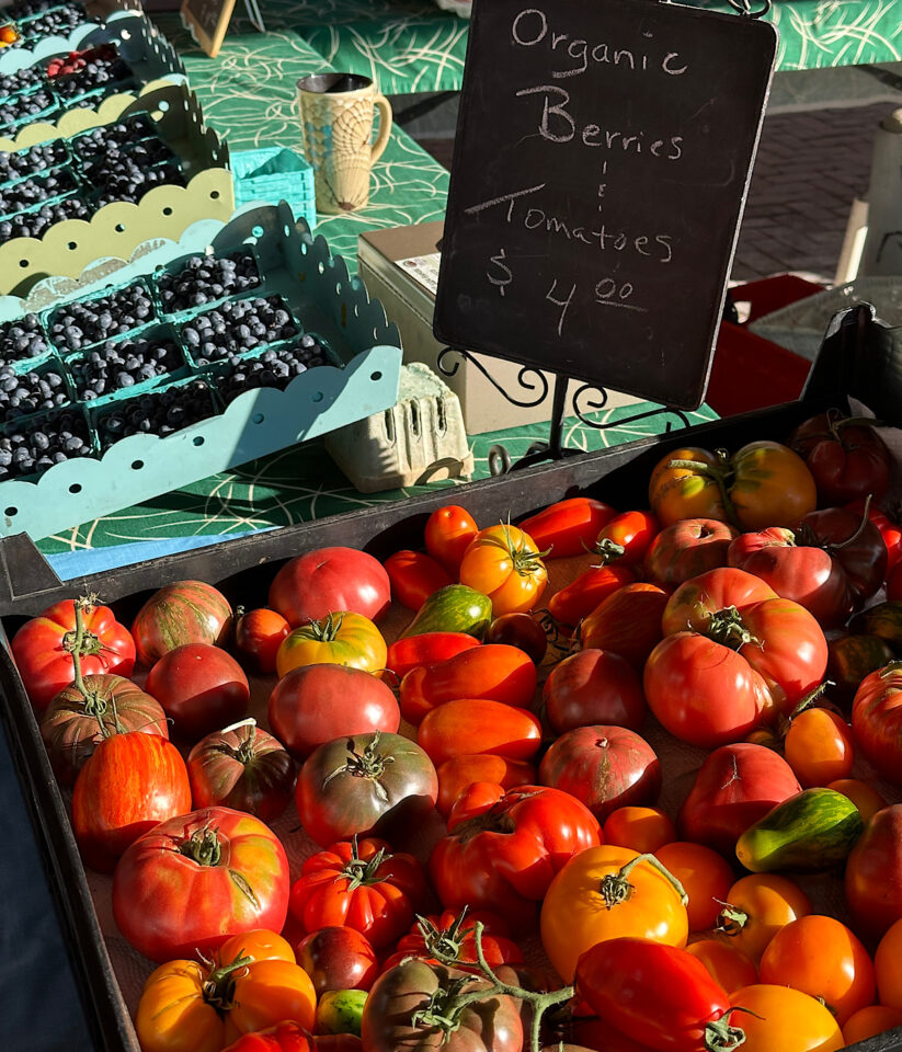 Guide for Growing Tomatoes for the Best Flavor - Farm to Jar