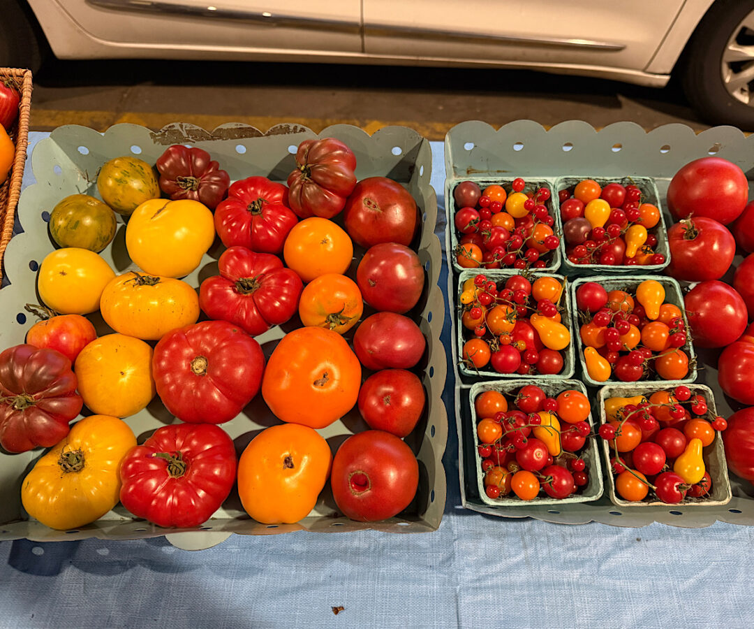 Low Acid Tomatoes? What the Research Actually Says - Farm to Jar